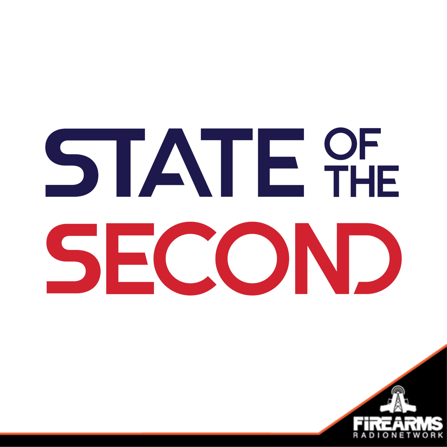 State of The Second 98 - The Military Chose THIS Scope (ft. Vortex ...